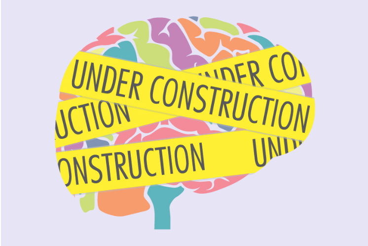 Ways in Which Teen Brains Are Different - Child, Adolescent, & Adult ...